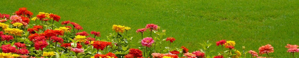 About Sunrise Science - Sunrise Science