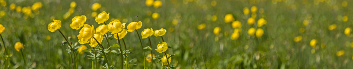 Contact Us - Sunrise Science