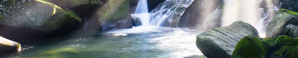 News, Promotions & Events - Sunrise Science