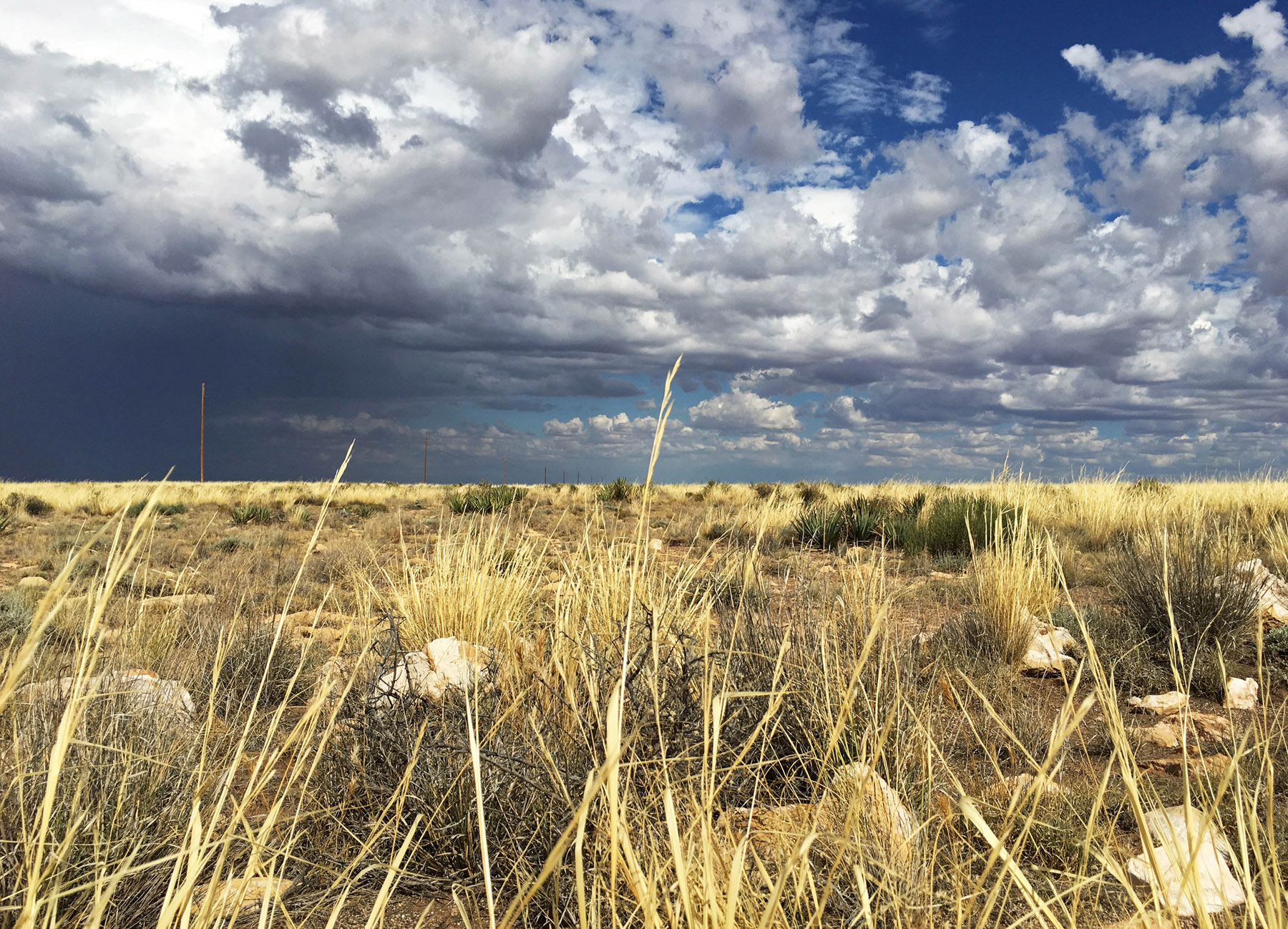 Outside Viewpoints: Monsoon Light in Arizona - Sunrise Science